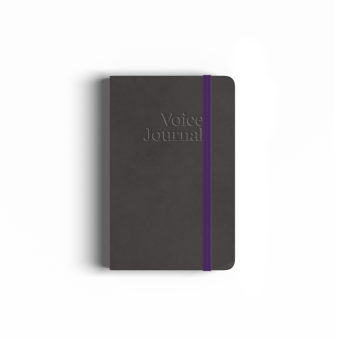 Voice Journal – Rayvox